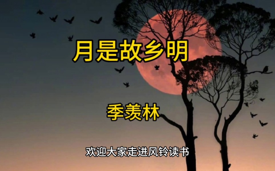 月是故乡明 季羡林