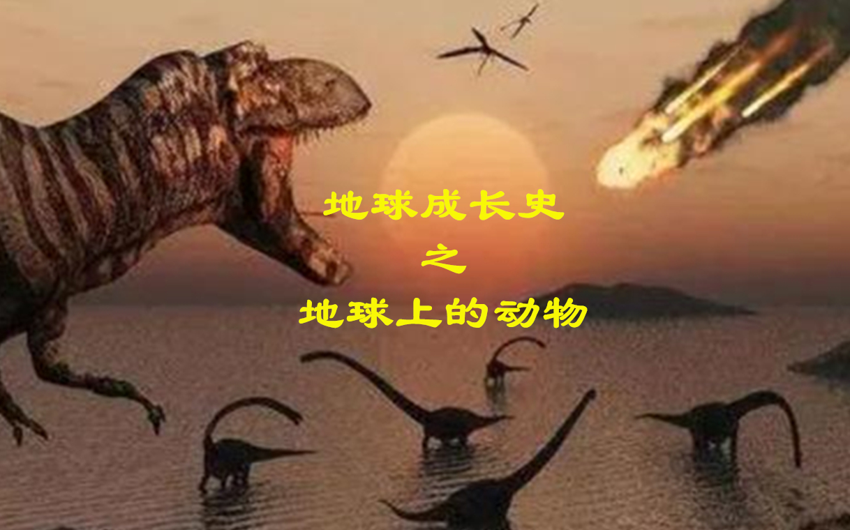 【经典必看】地球成长史 热河生物群 地球霸主恐龙