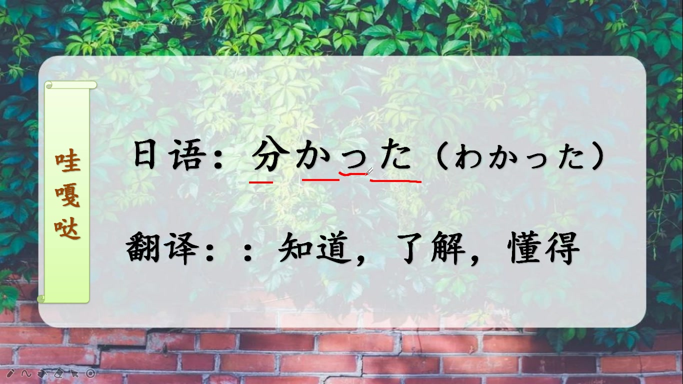 《空耳日语》日本人说“哇嘎哒”是什么意思?