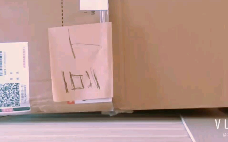 up竟然网购一只活体小狗开箱