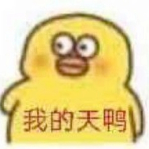狗鸭y 