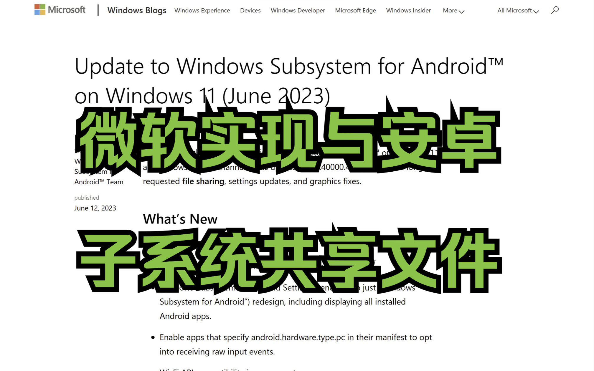 微软终于让 Windows 11 和 Android 实现了文件共享!