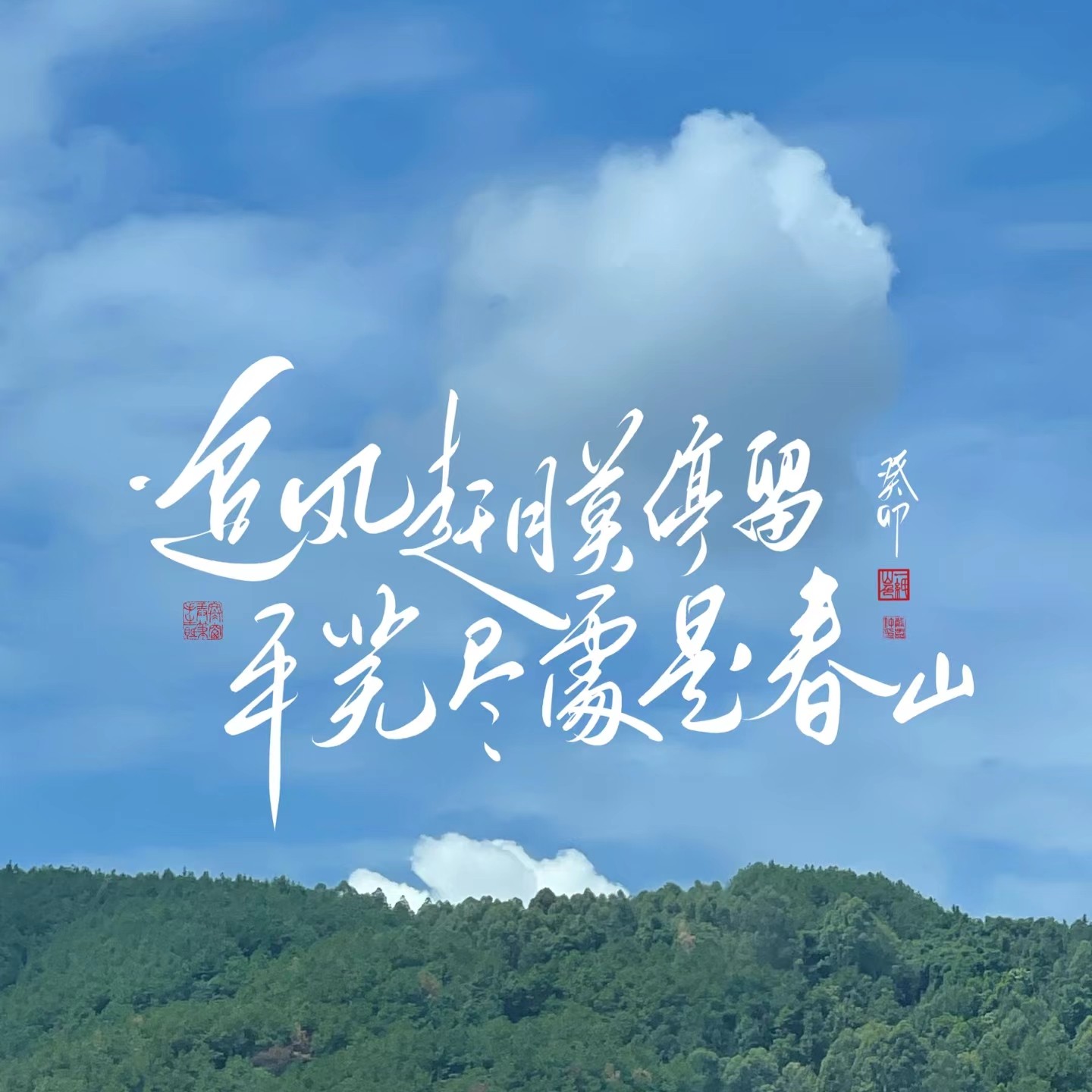 通通又信信 