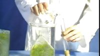 光合作用释放氧气