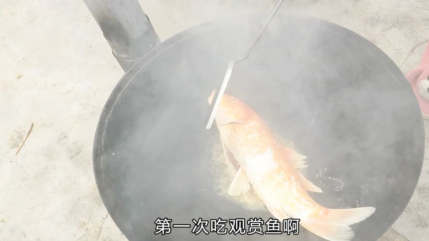 农村小伙买的锦鲤死了一条,就直接做一锅酸菜鱼,吃着是啥味?