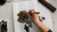 中国画水墨菊画法,先画出花的形状颜色,后画线条的教程