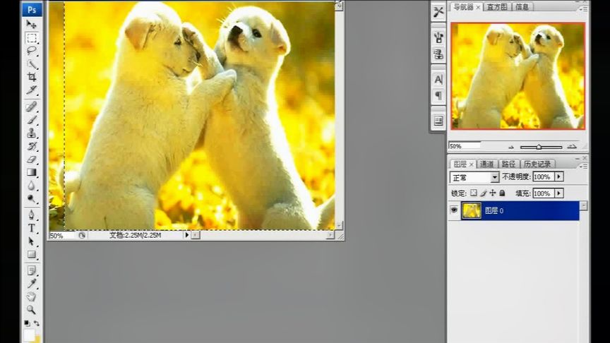 photoshop 经典效果289例127.小图片放大不失质量