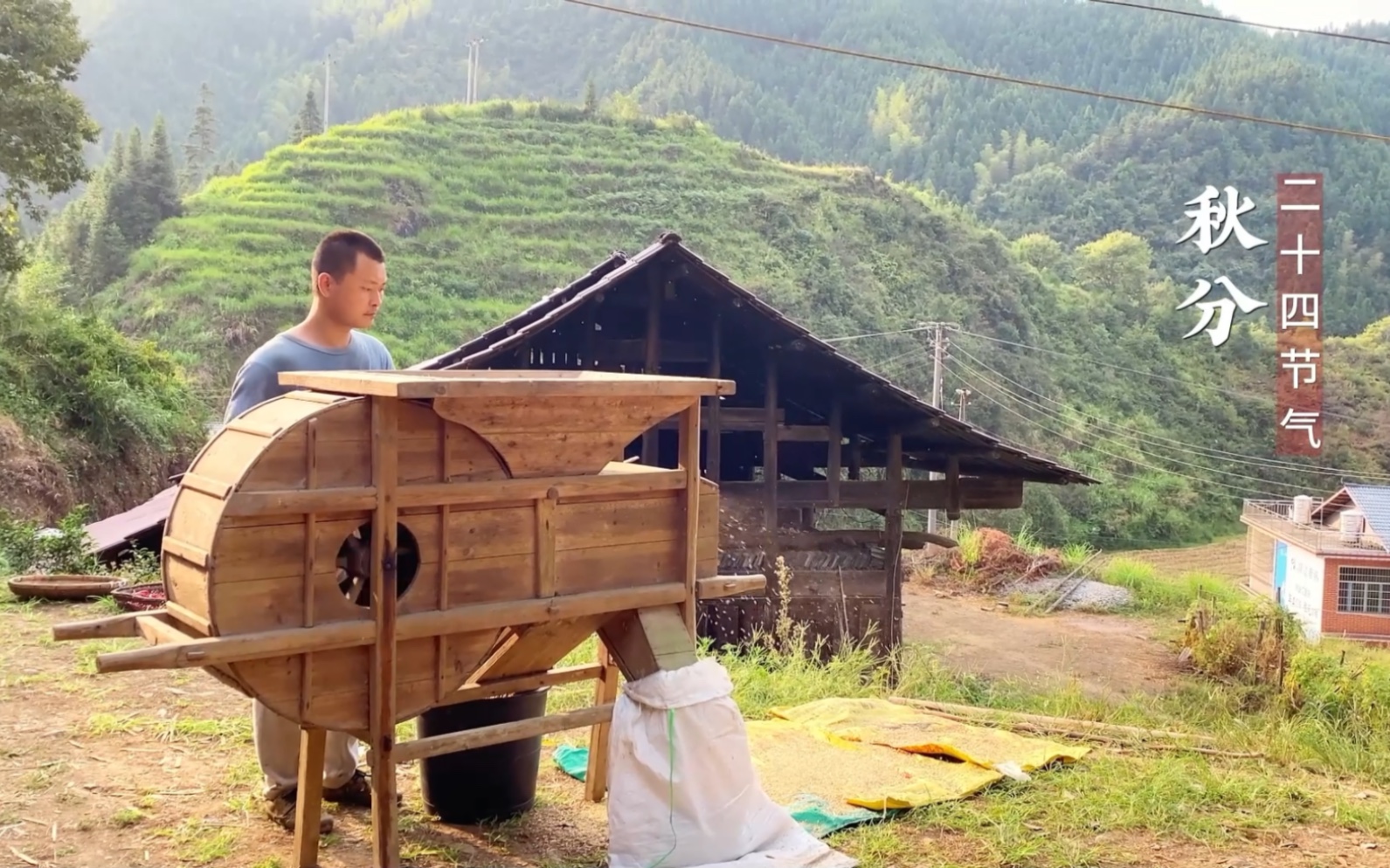 水稻的一生全篇,春末至深秋,从播种至收成