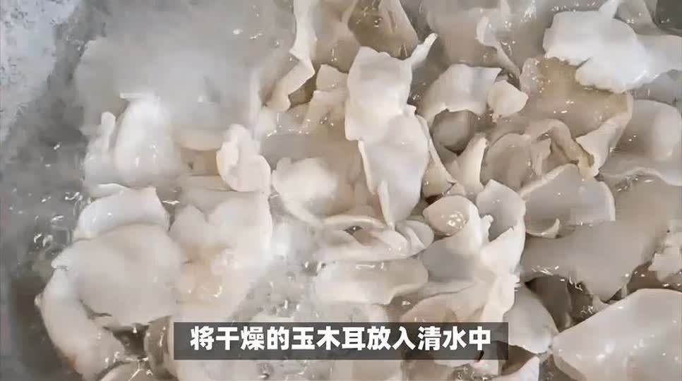 玉木耳的食用技巧大揭秘,让你成为厨房高手!