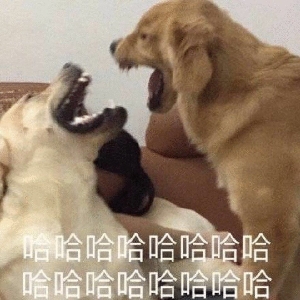 张得帅彡 