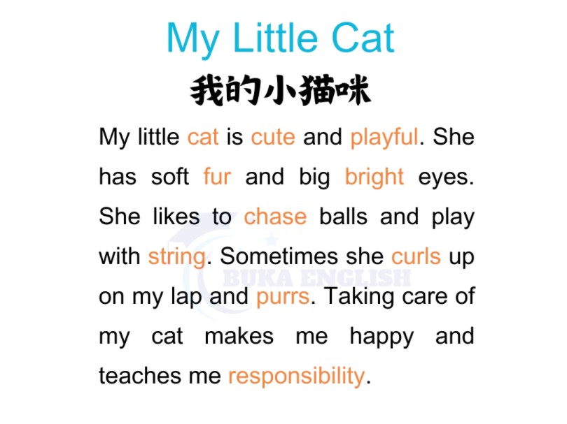 英语美文 英语朗读 小学英语阅读 每日英语听读 My Little Cat 我的小...