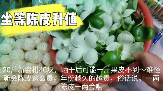 晒陈皮的季节,小欧也来凑热闹,分享新会陈皮制作过程