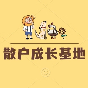 散户成长小基地 