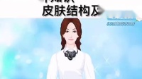 皮肤保养知识,皮肤结构及其功能