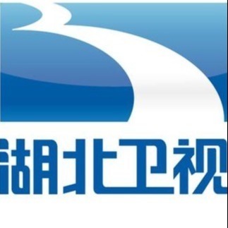 湖北卫视调解面对面