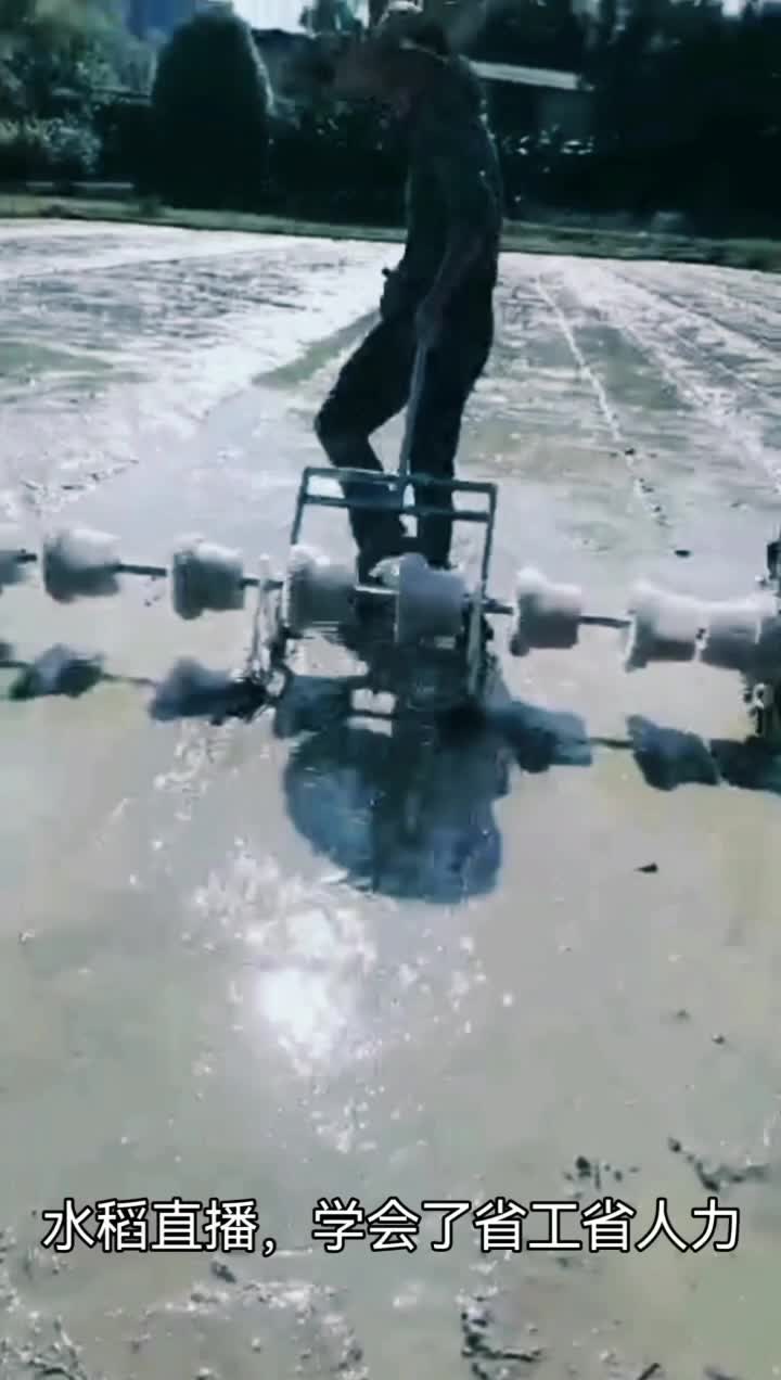 给粮农朋友推荐一种省工省力的水稻直播栽培模式。