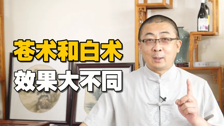 苍术与白术,一字之差,功效大不同!中医细讲2味中药的区别!