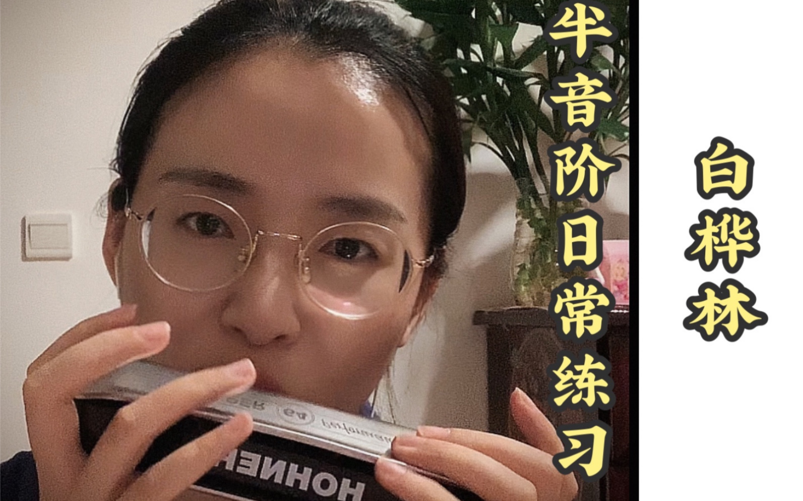 【口琴】白桦林+动态乐谱