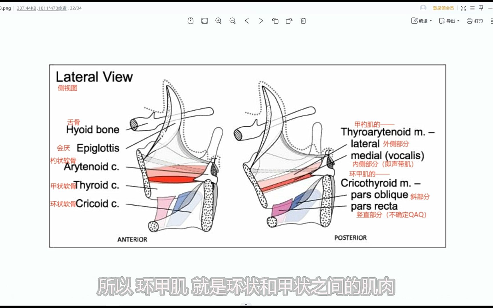 声乐圈的术语还不够乱吗?精译整本EVT第六章1【卂枭EVT12】