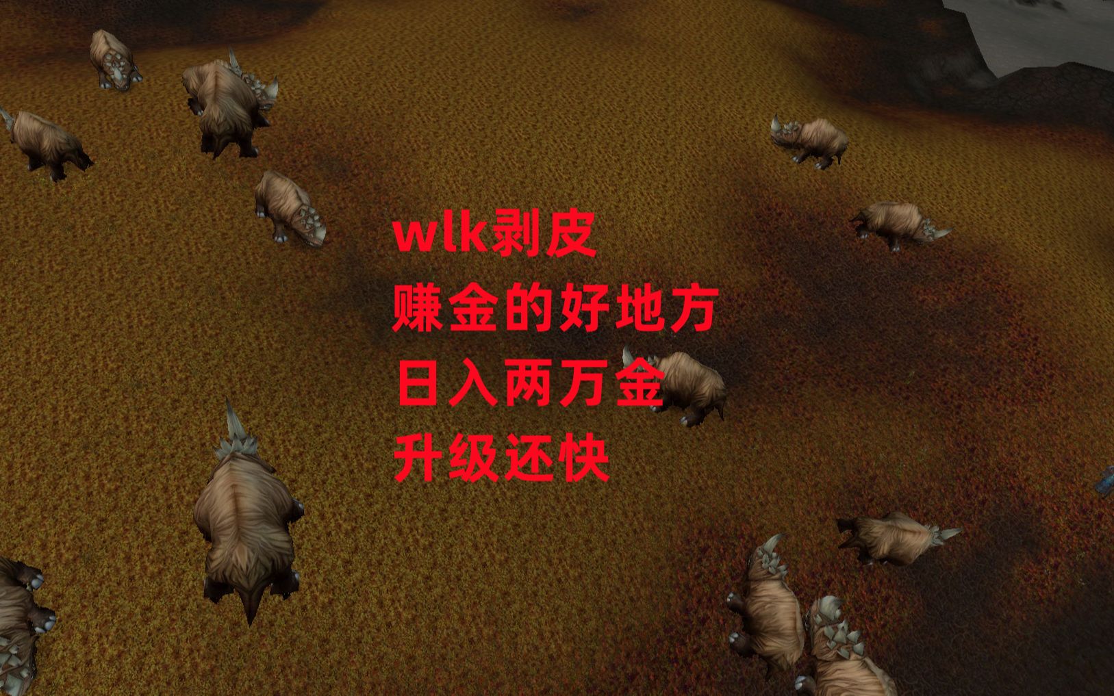 魔兽世界怀旧服:wlk剥皮赚金的好地方,日入两万金,升级还快_网络游戏...