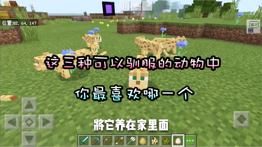 我的世界:这三种可以驯服的动物中,你最喜欢哪一个