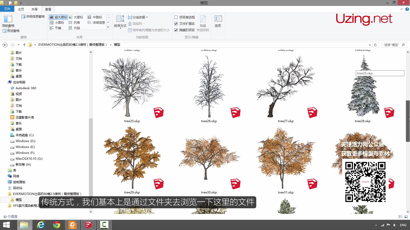 SketchUp 2015-80棵植物的使用说明与组件的应用教程