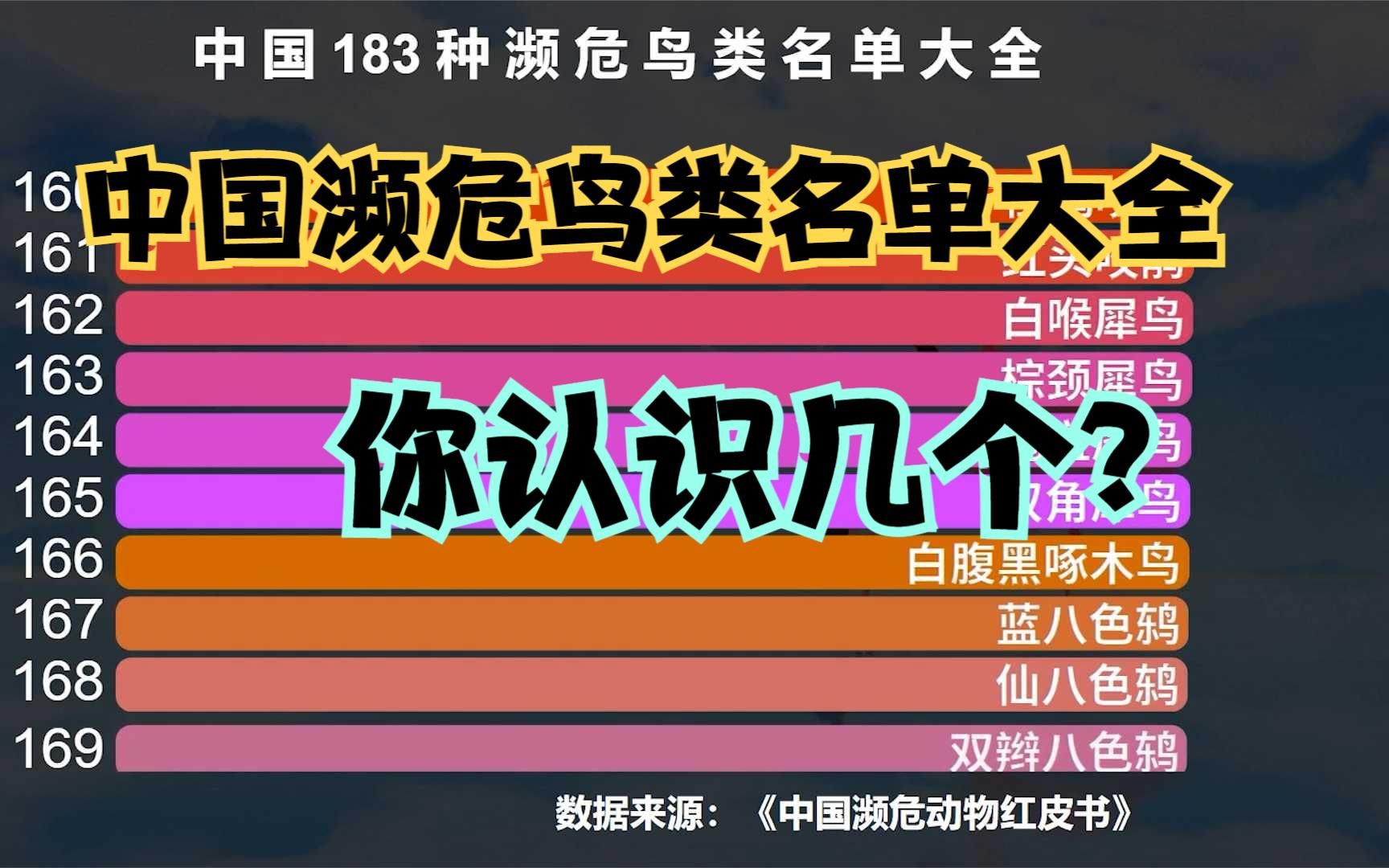中国183种濒危鸟类名单大全,光听名字就很美,看看你见过几种?