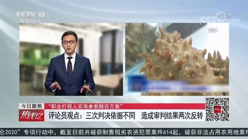 职业打假人买海参索赔百万案 三次判决依据不同 审判结果两次反转