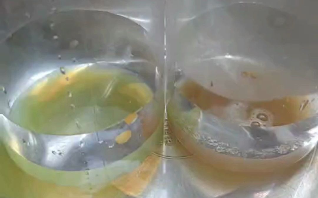 超简单的生物实验视频