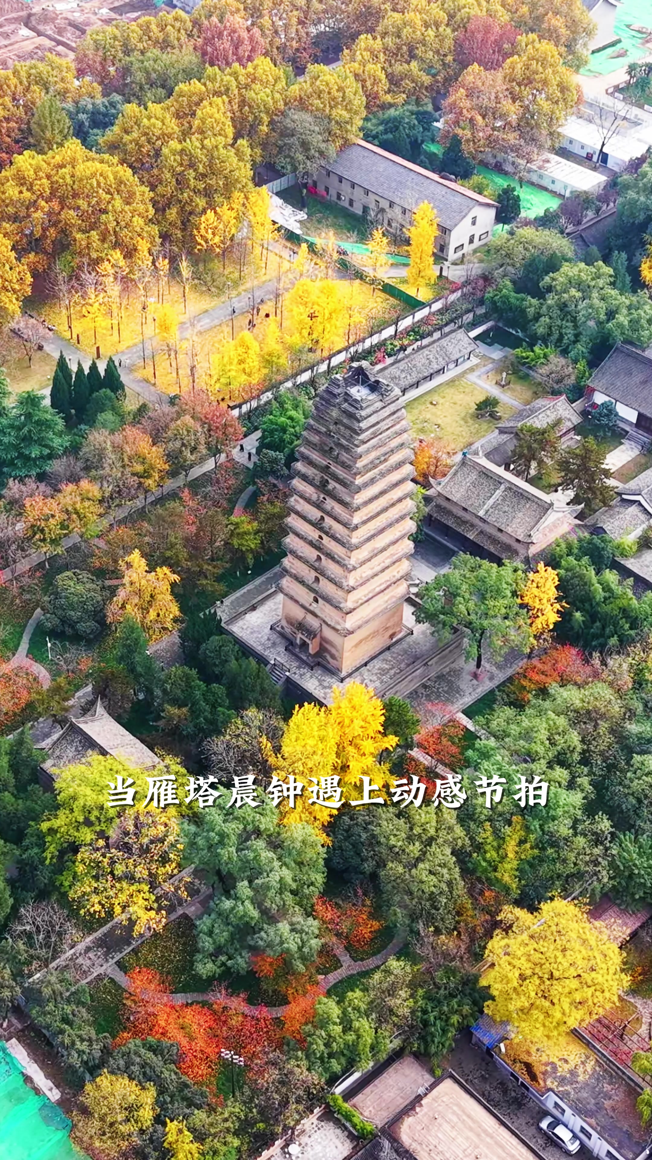 ...期待在宕昌与大家的再次相遇~#娥嫚 #官鹅沟大景区 #娥嫚杯广场舞...