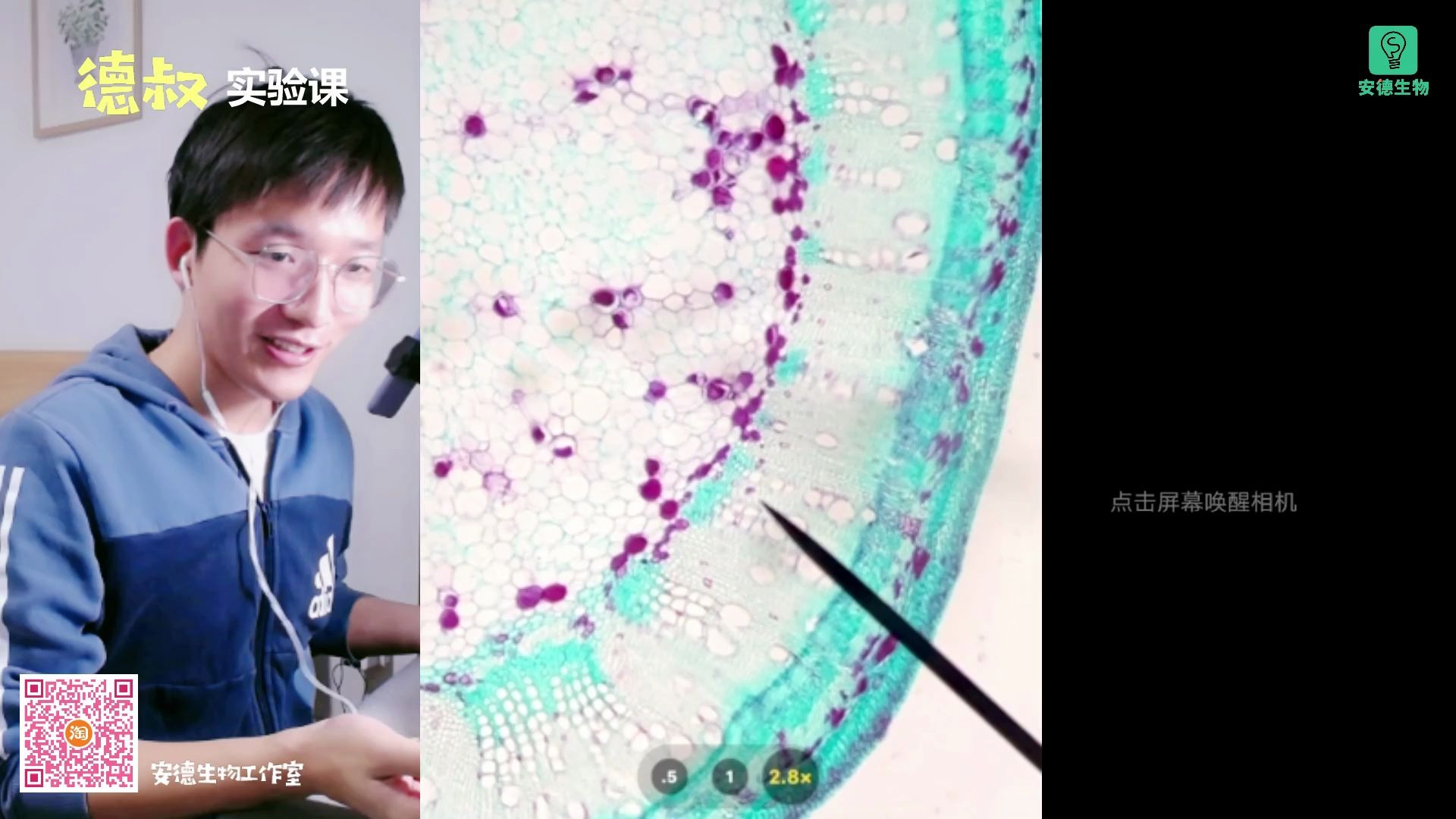 实验现场:显微镜下的各种植物细胞