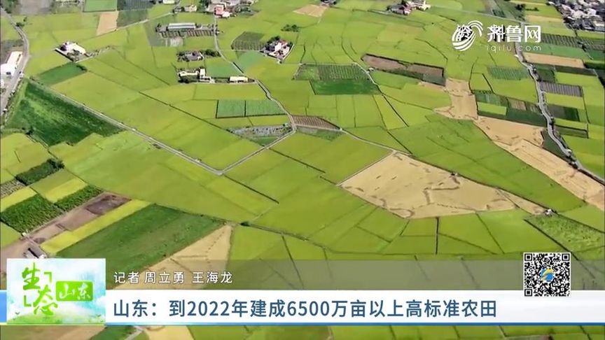 山东明确目标!2022年建成高标准农田6500万亩以上,农户们快看看