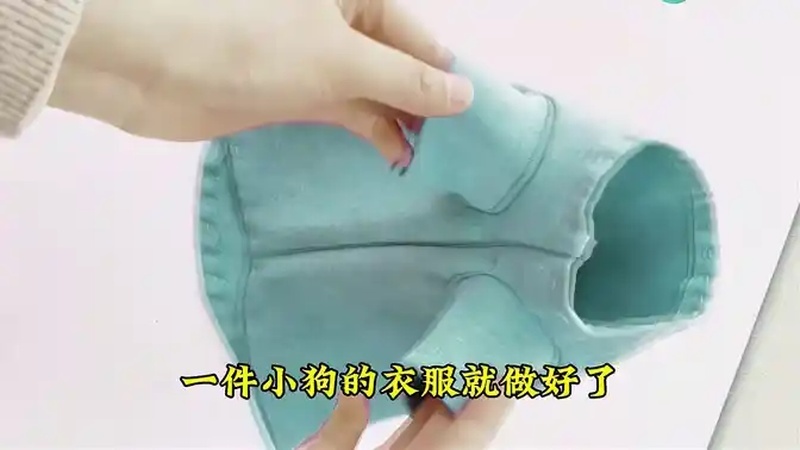 生活实用小技巧,用袖子给狗狗做衣服