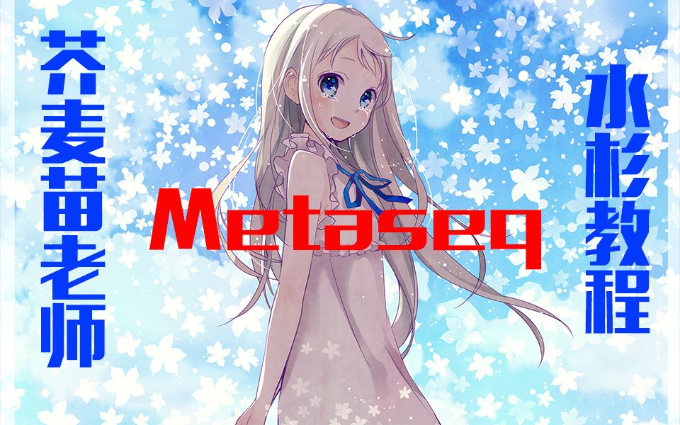 【建模教程发布】芥麦面老师的水杉(Metaseq)教程