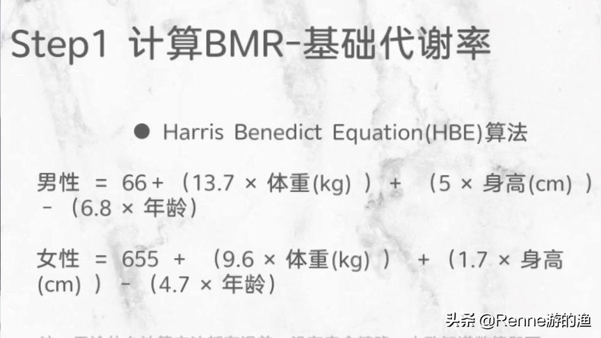 如何计算每日能量摄入?