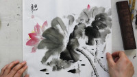 中国画水墨荷花画法,初级绘画教程,国画艺术欣赏