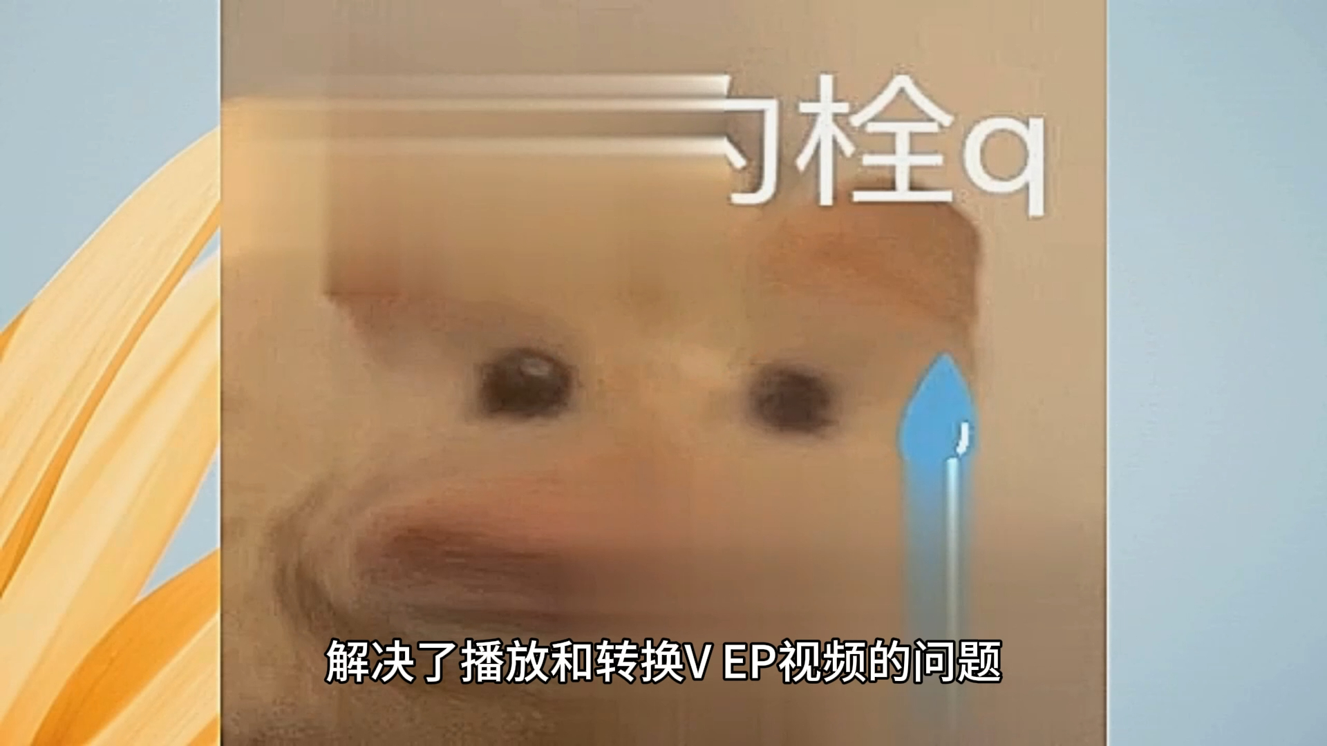 vep格式可以转成mp4吗?vep文件转换为mp4?