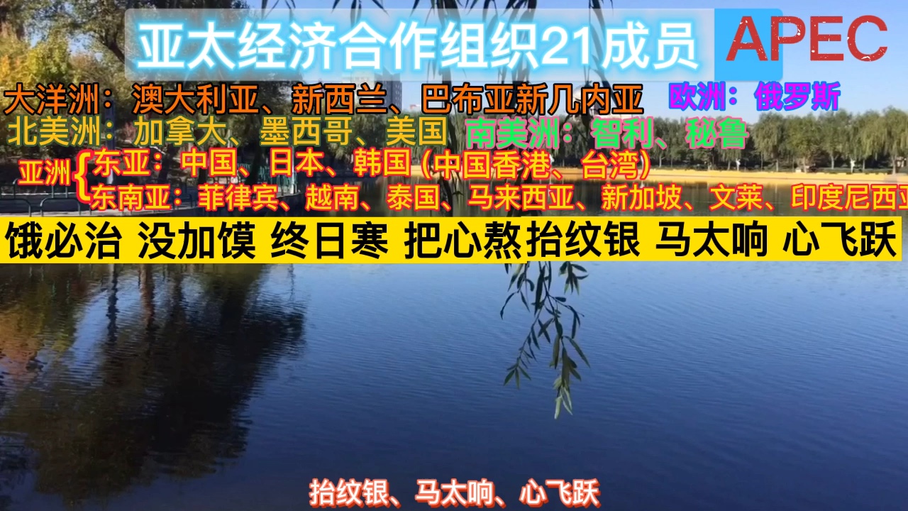 1分钟记住APEC亚太经济合作组织成员名单 你信吗?