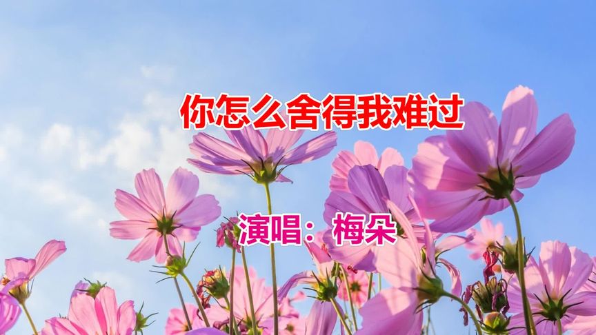 一首好听的情歌《你怎么舍得我难过》