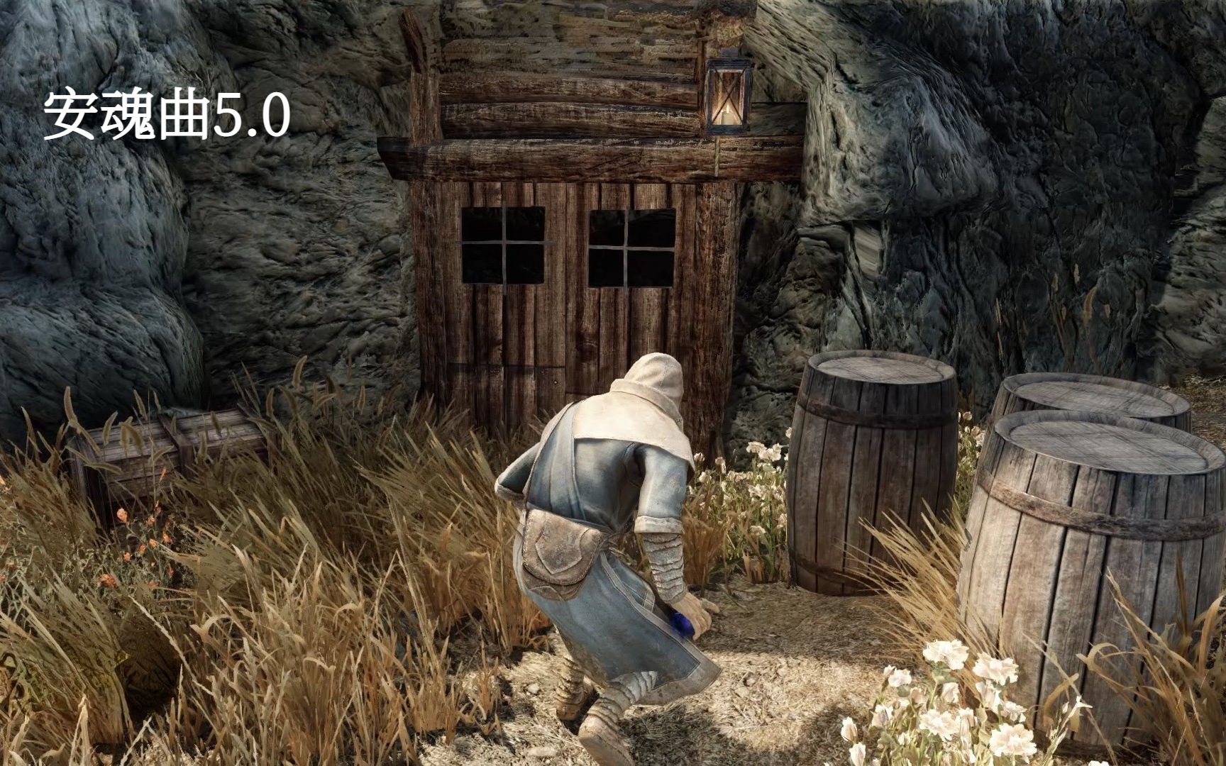 【上古卷轴5天际安魂曲】高精灵隐刺清理瑞多然的休息处