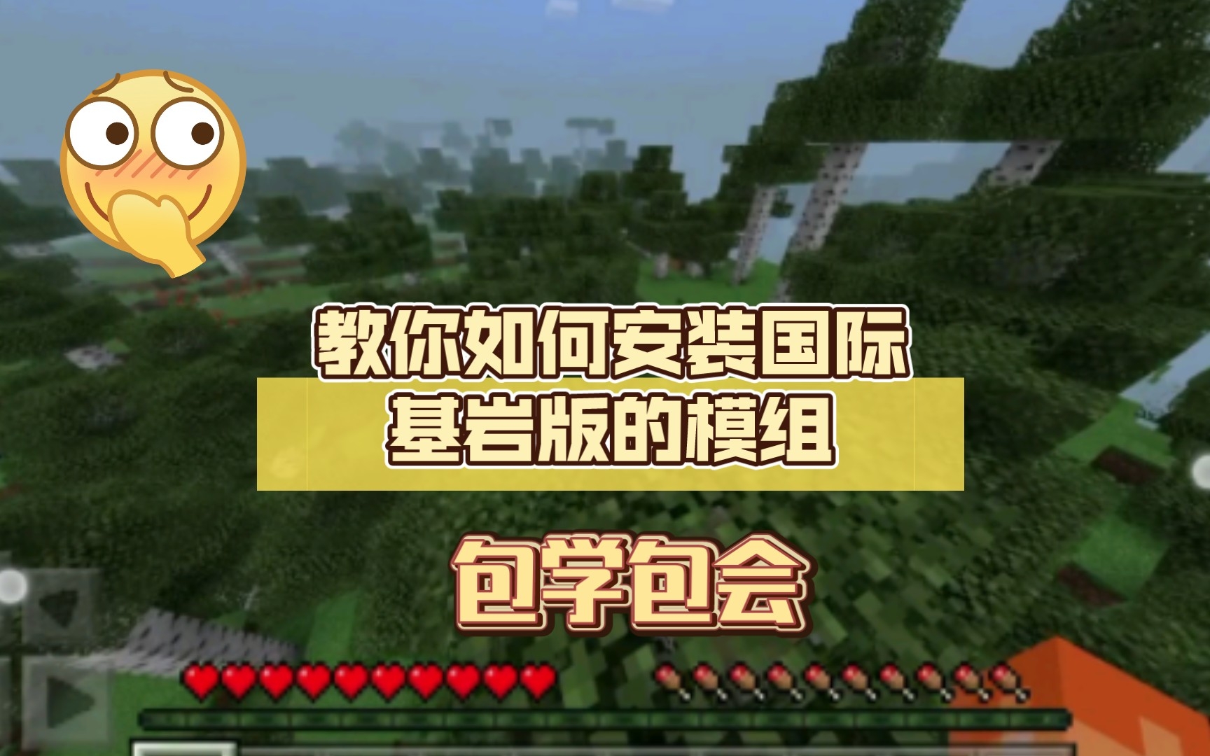 教你如何安装国际基岩版的模组(包学包会)_哔哩哔哩bilibili_我的世界