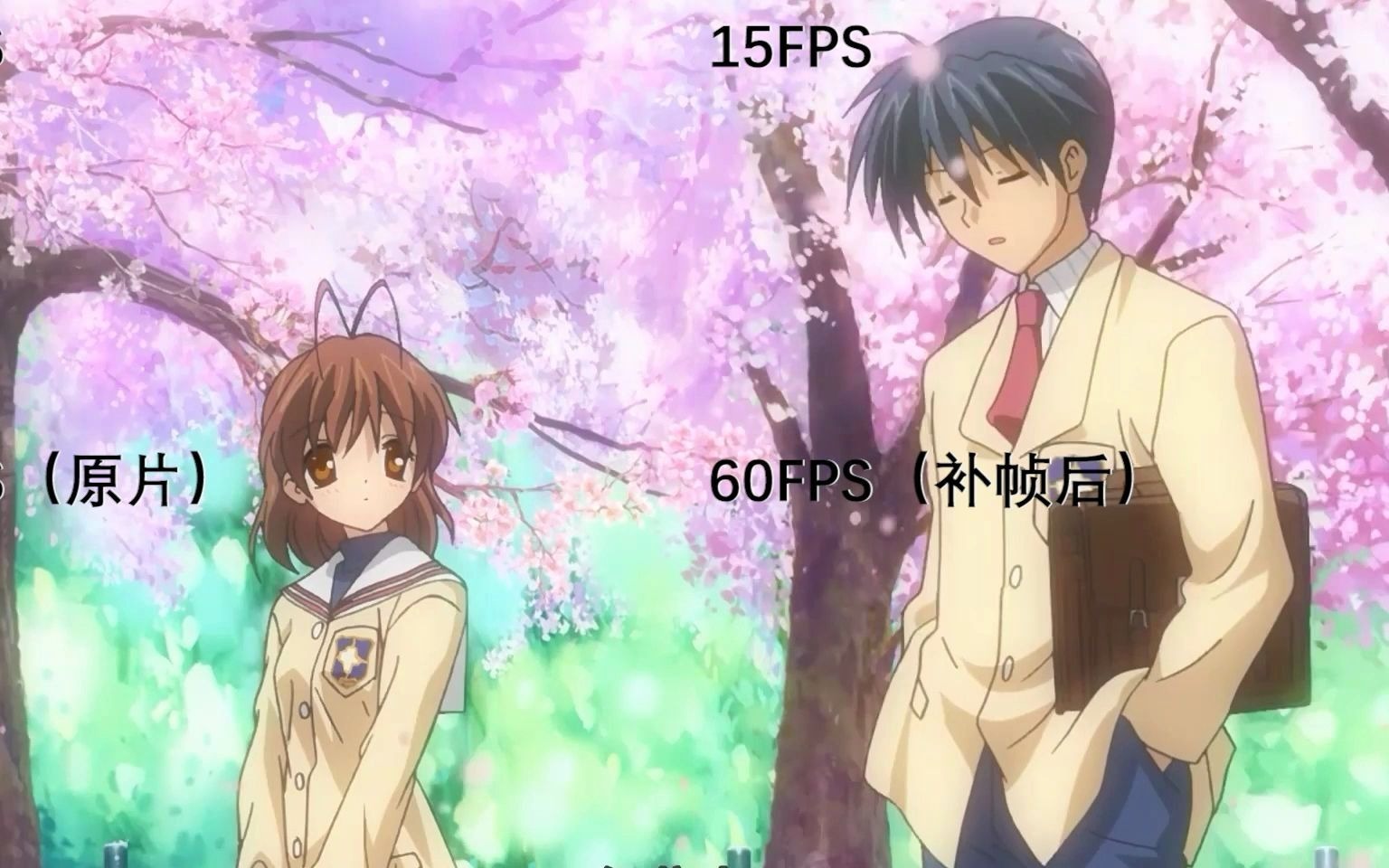 【帧率测试/演示】不同帧率的动画,看起来有什么区别?10/15/24/60帧...