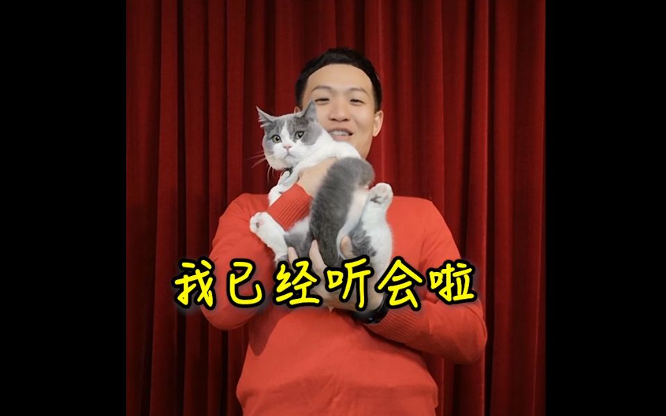 小萌猫大蒜和洋葱老师一起教朗诵?请大家给大蒜点赞、投币买小鱼干...