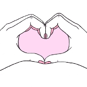 纸字菌 