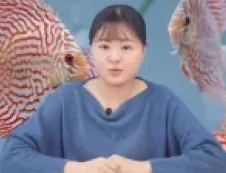 鱼缸新开,如何快速培养硝化细菌?教你几招鱼儿养得好!