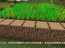 我的世界新手向玩家视频攻略03:种植与烹饪