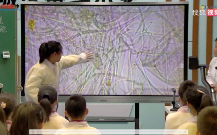 ...《使用数码生物显微镜观察到地方苹果》公开课【全国大赛实验教学...