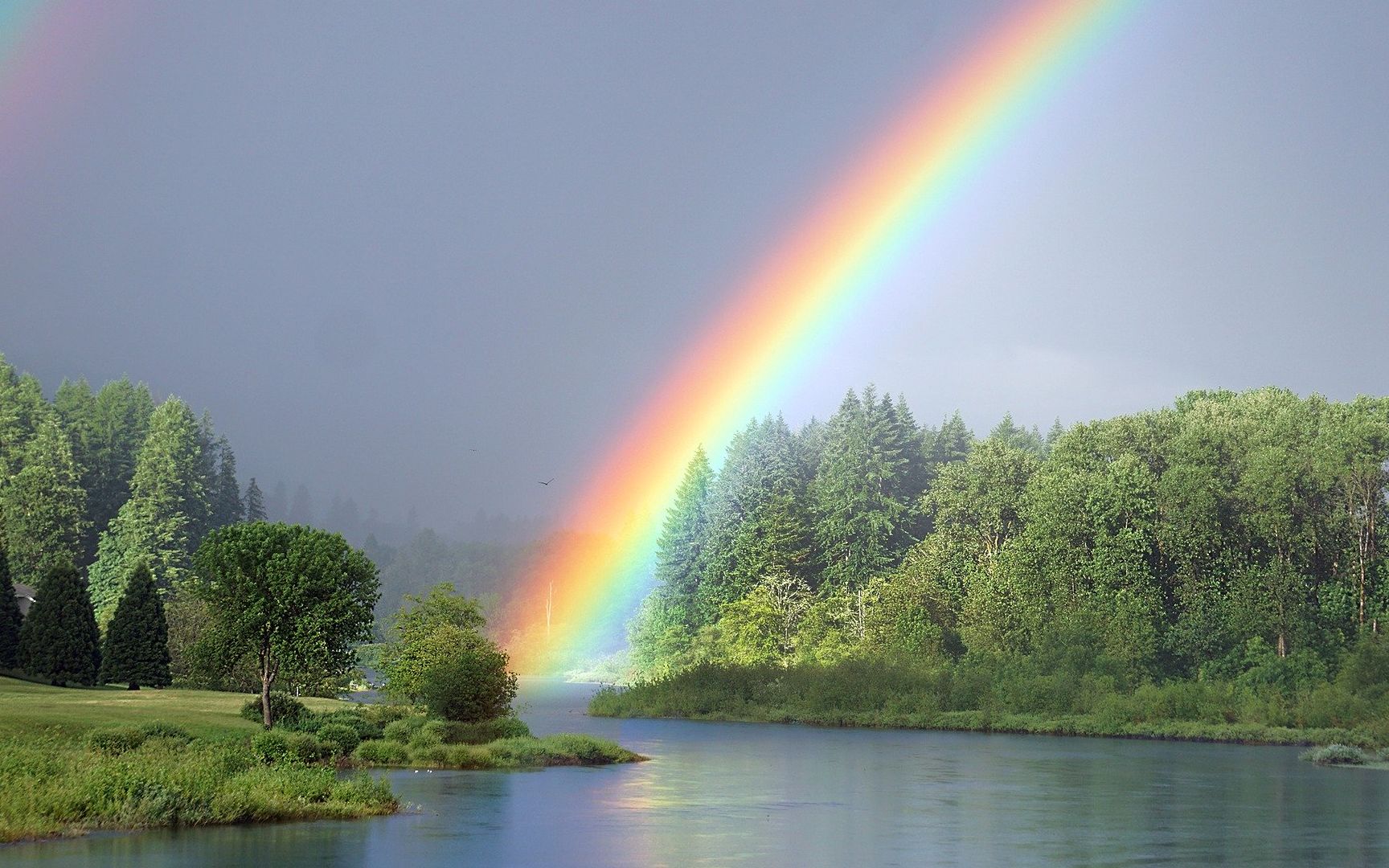 【科学嬉游记】如何给植物分类——神话的森林