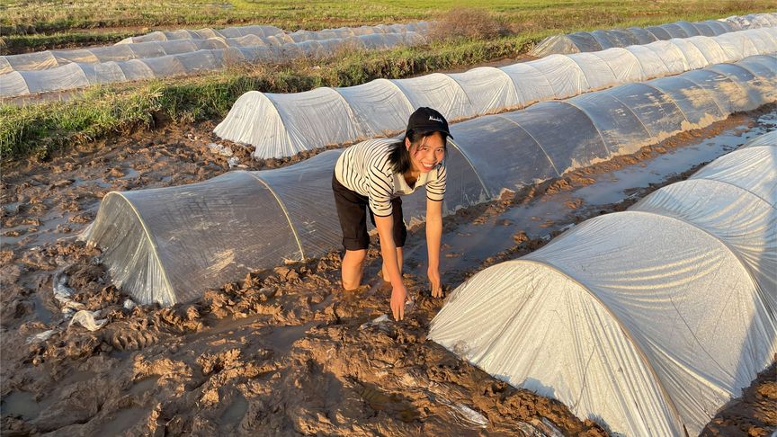 农村春耕的季节到了,小秀下田育秧苗,看看水稻到底怎么种?