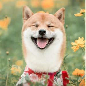 Veryhappy_Aivy 